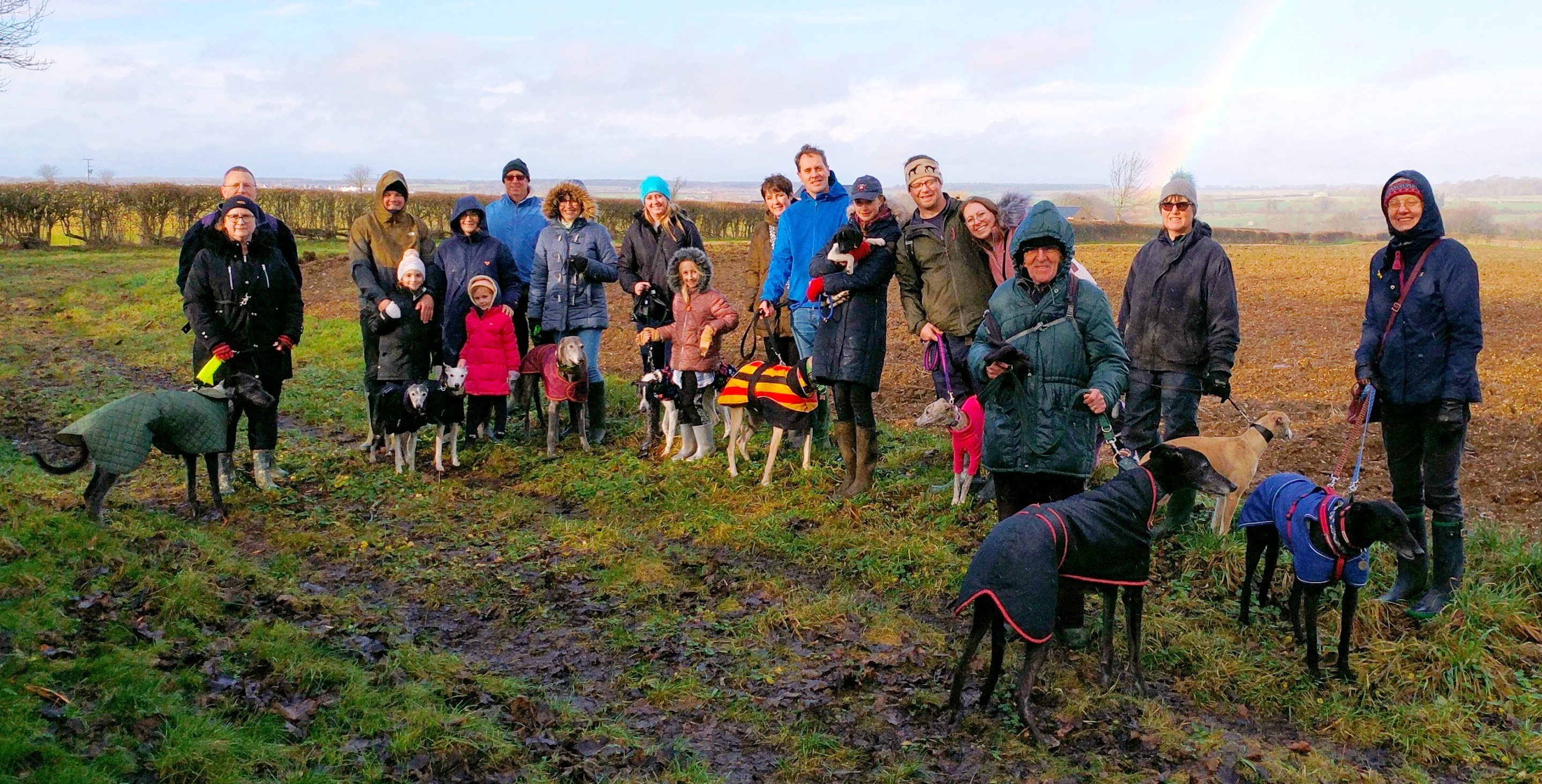 Northants Sighthound Walks: Photo gallery